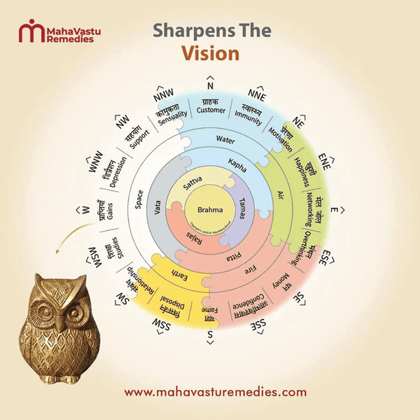 Owl - Sharpens the Vision